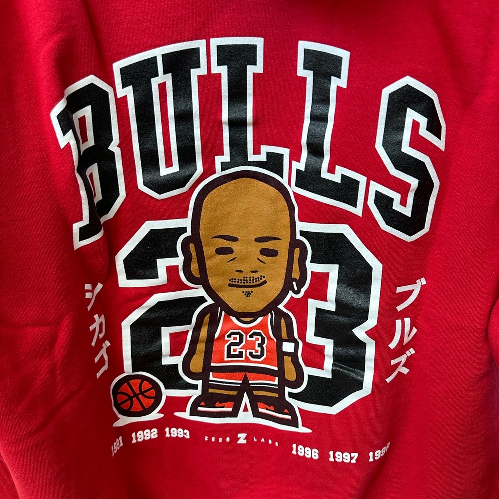 Zeeb Labs Michael Air Jordan Last Dance Hoodie Sweats… - Gem